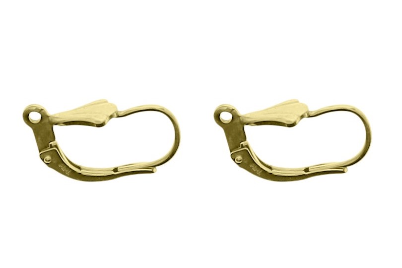 Ear Fittings (Hooks) 9ct Yellow Pair (CT1119Y) | Lindsay's